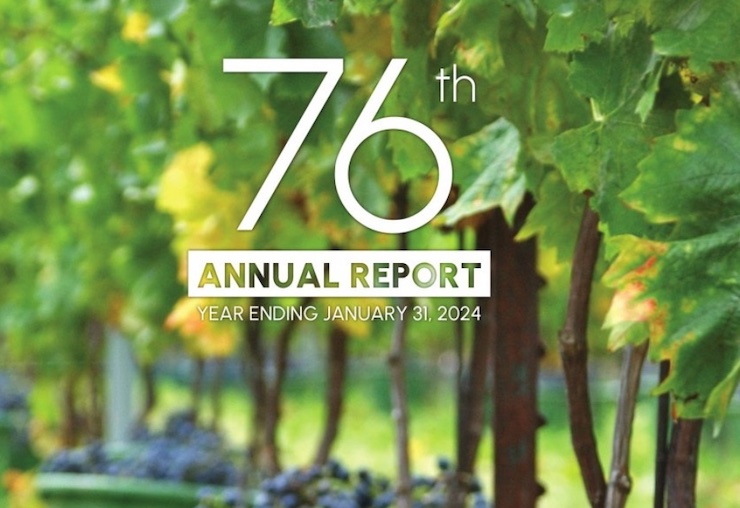 Ontario grape growers top $113M in farmgate value | The Grower